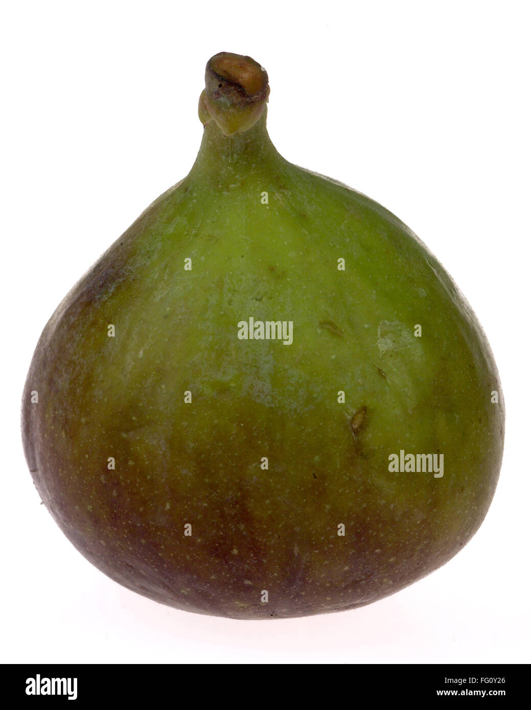 Fig , Anjir , Green one on white background Stock Photo - Alamy