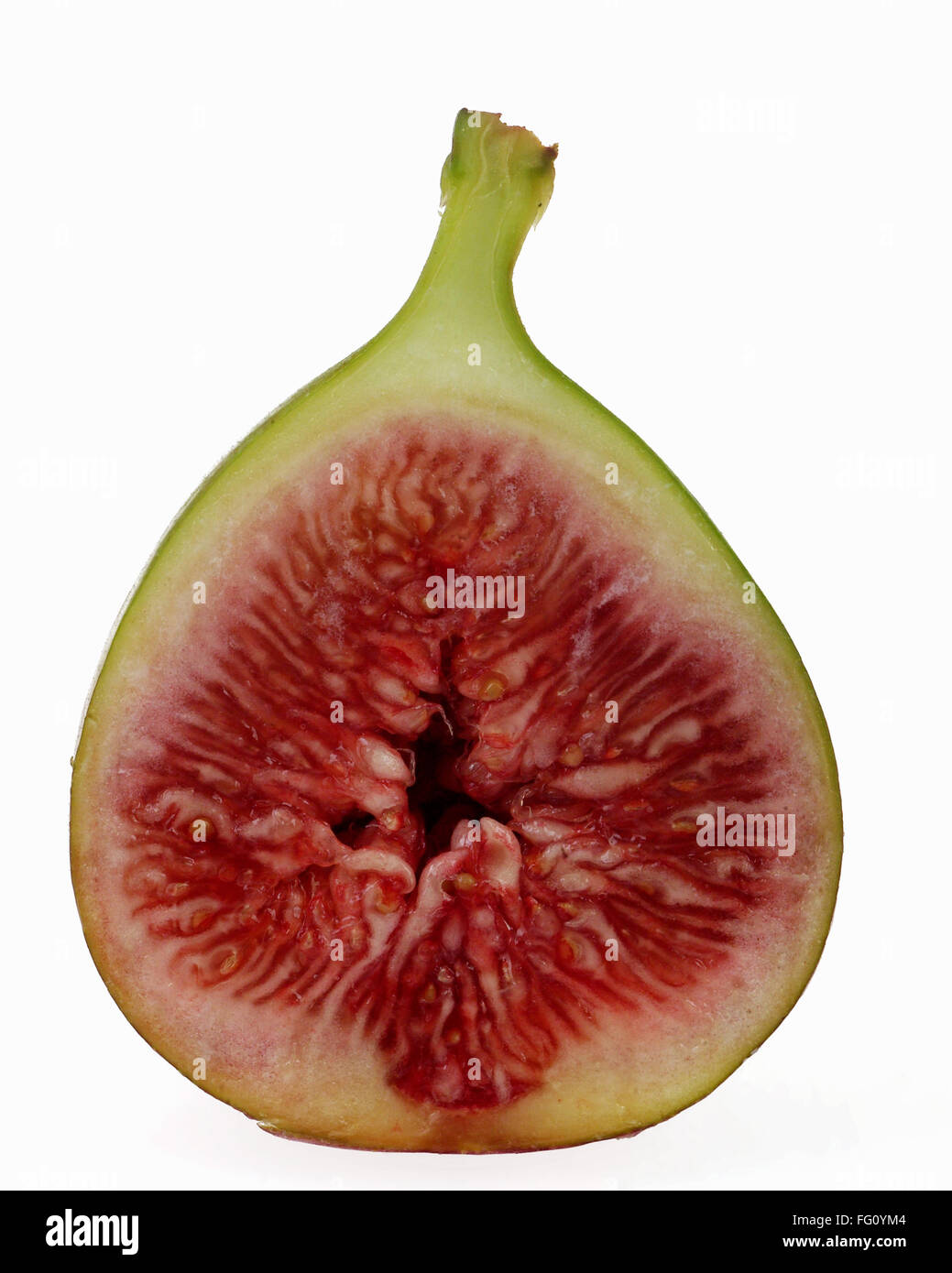 Fig , Anjir , Green one half cut on white background Stock Photo - Alamy