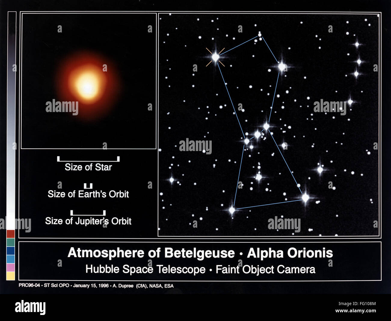 STAR: BETELGEUSE, 1995. /nThe red supergiant Betelgeuse photographed in ...