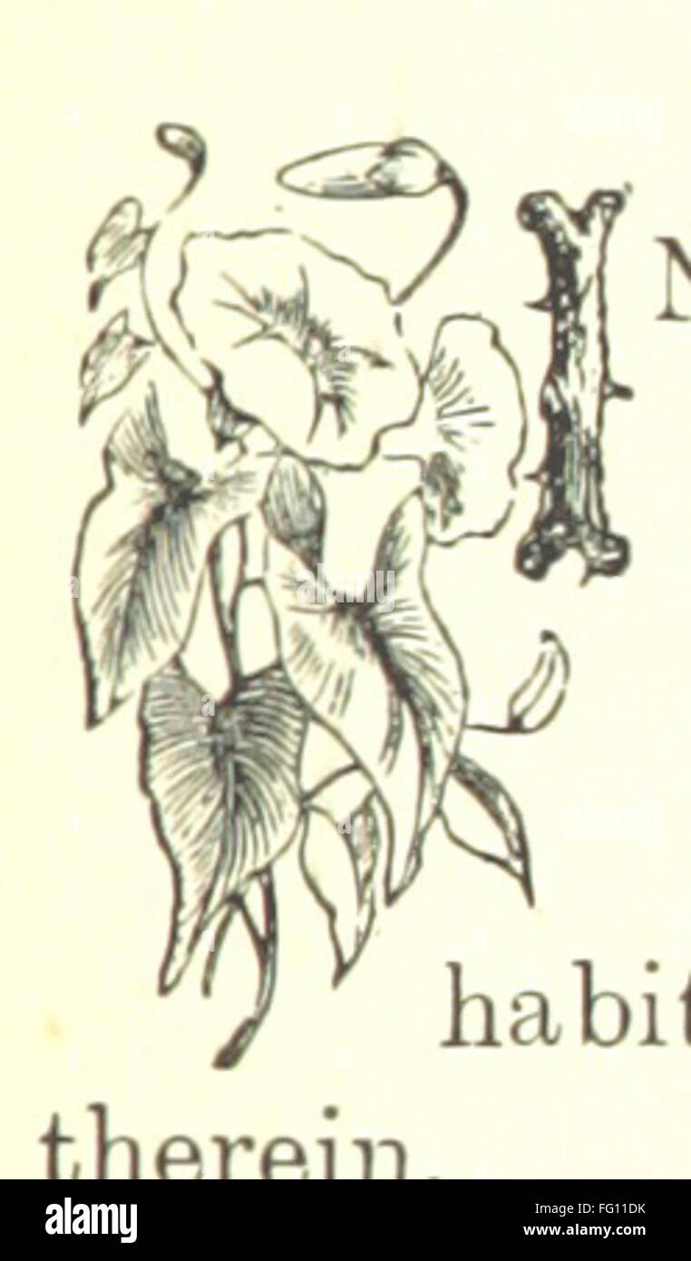 This book presents a perspective on life within a limited, constrained environment, exploring ...