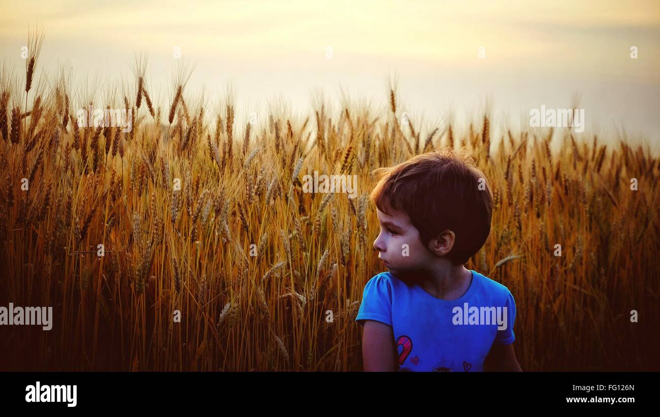 Girls Standing In Crop Field Against Clear Sky Stock Photo - Alamy