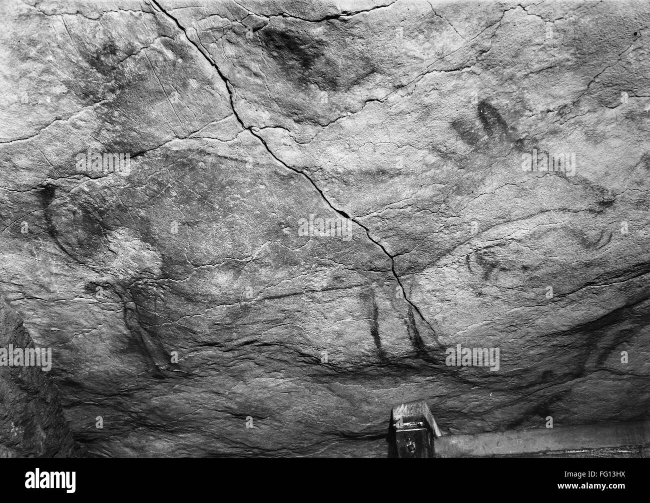 CAVE ART: ALTAMIRA. /nPainting of a deer in a cave at Altamira, Spain ...