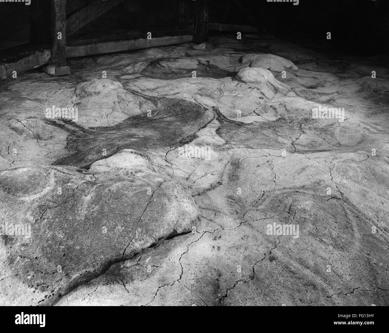 CAVE ART: ALTAMIRA. /nPainting of deer and bulls in a cave at Altamira ...