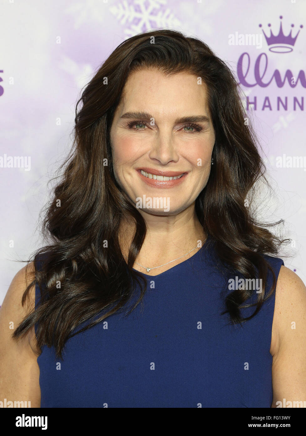 Hallmark Channel and Hallmark Movies & Mysteries Winter 2016 TCA Press ...