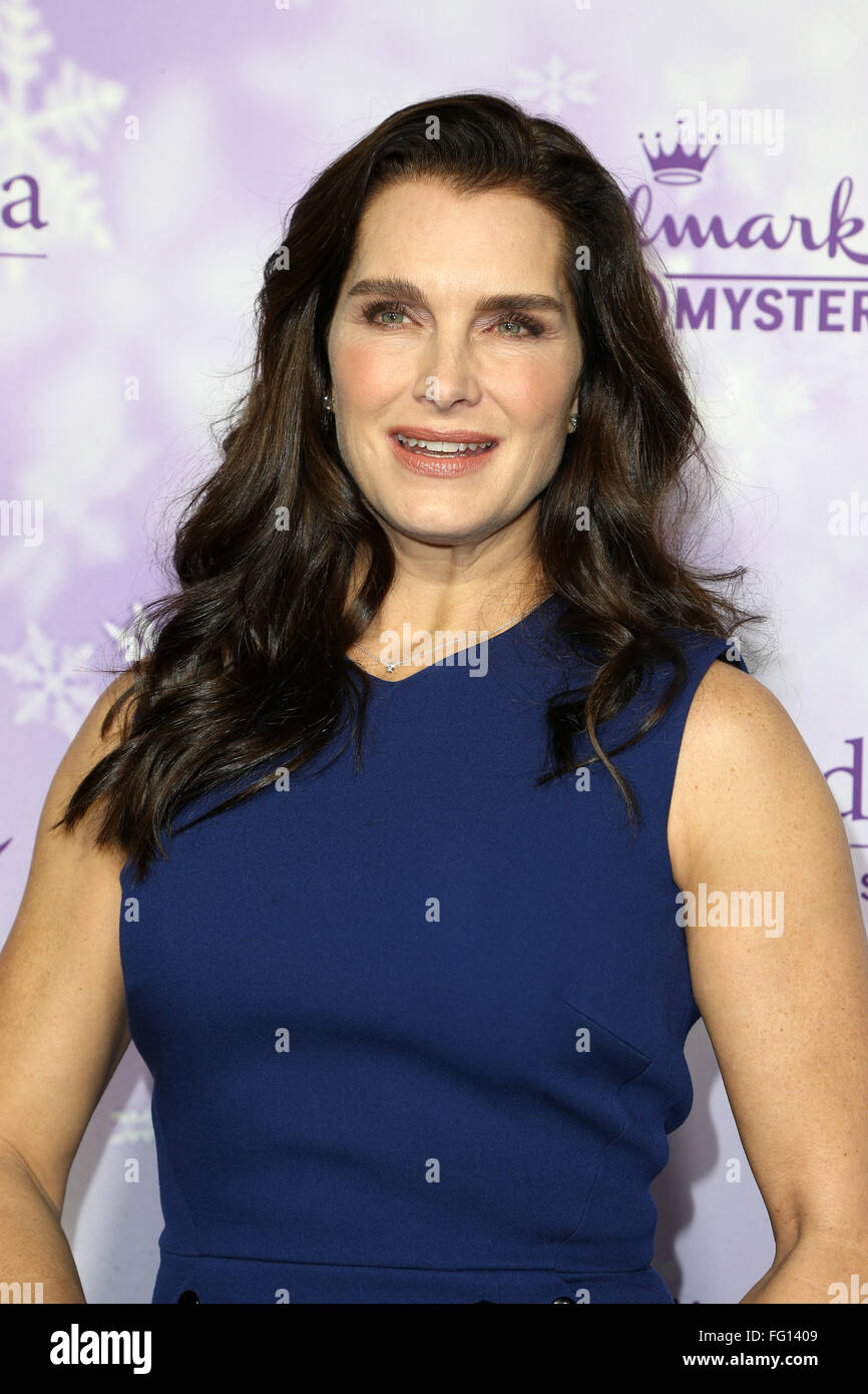 Hallmark Channel and Hallmark Movies & Mysteries Winter 2016 TCA Press ...