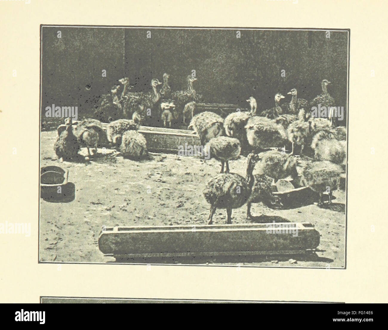 Second life home page hi-res stock photography and images - Alamy