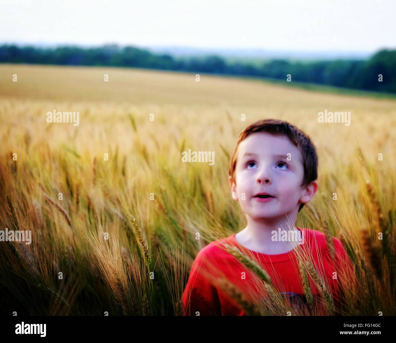 Field looking up hi-res stock photography and images - Alamy