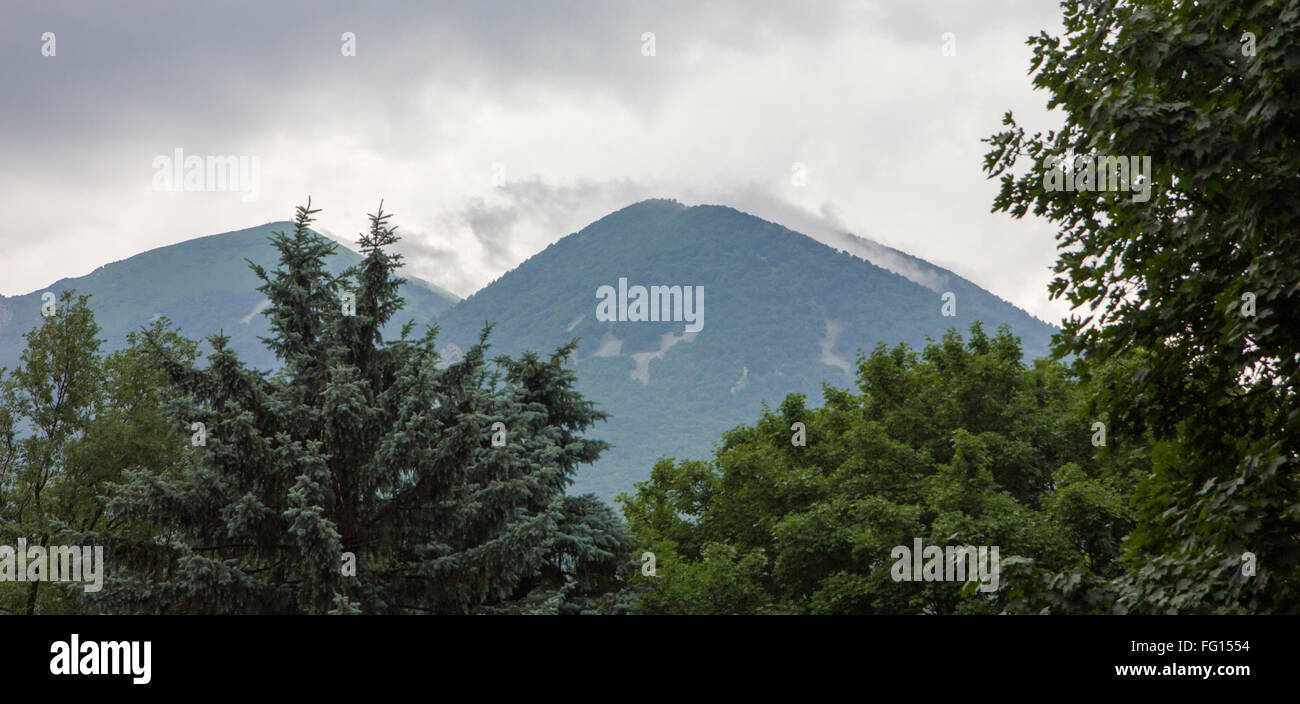 Lush Foliage Trees With Mountains In Background Stock Photo - Alamy