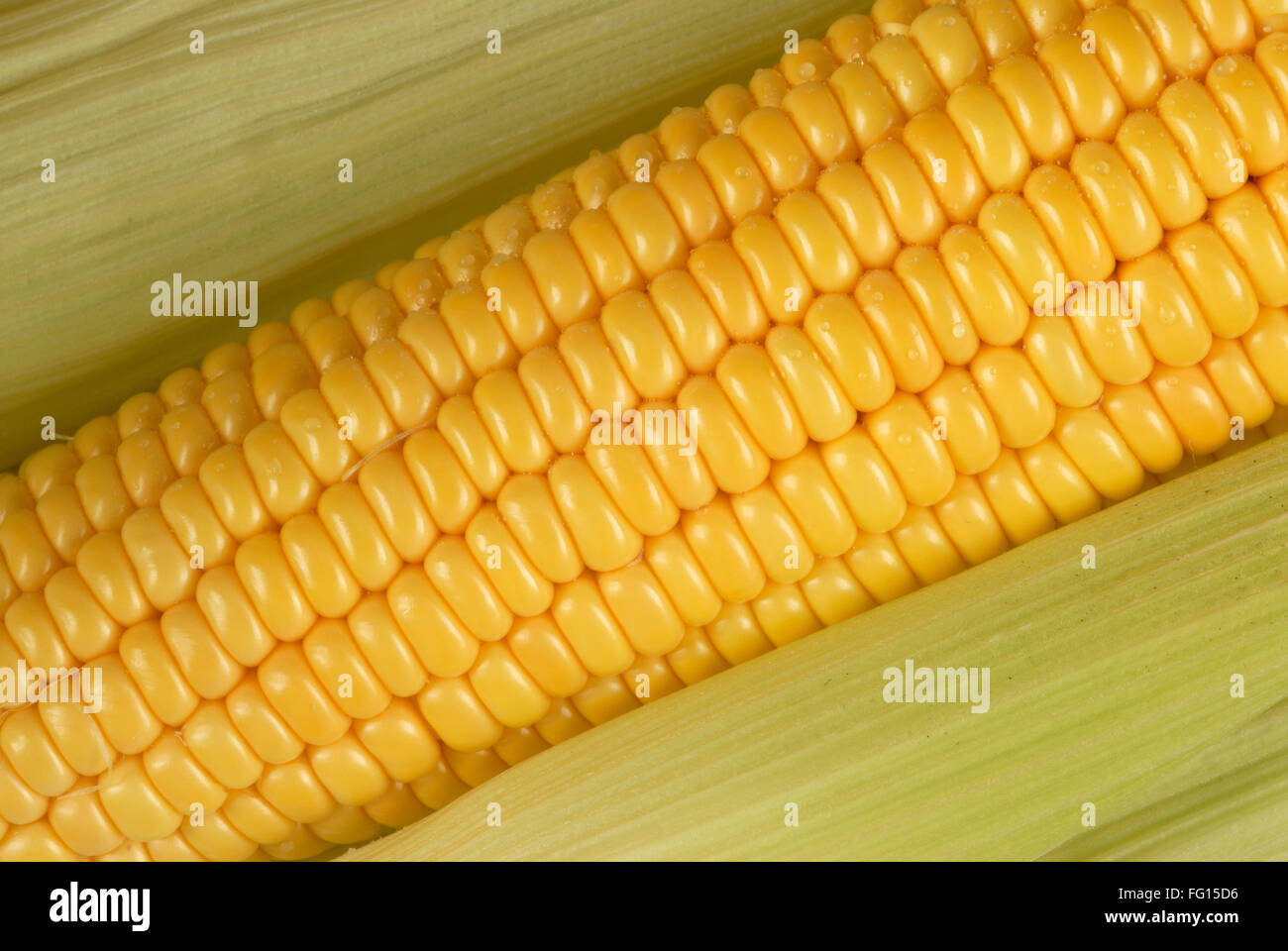 Corn makai maze hi-res stock photography and images - Alamy