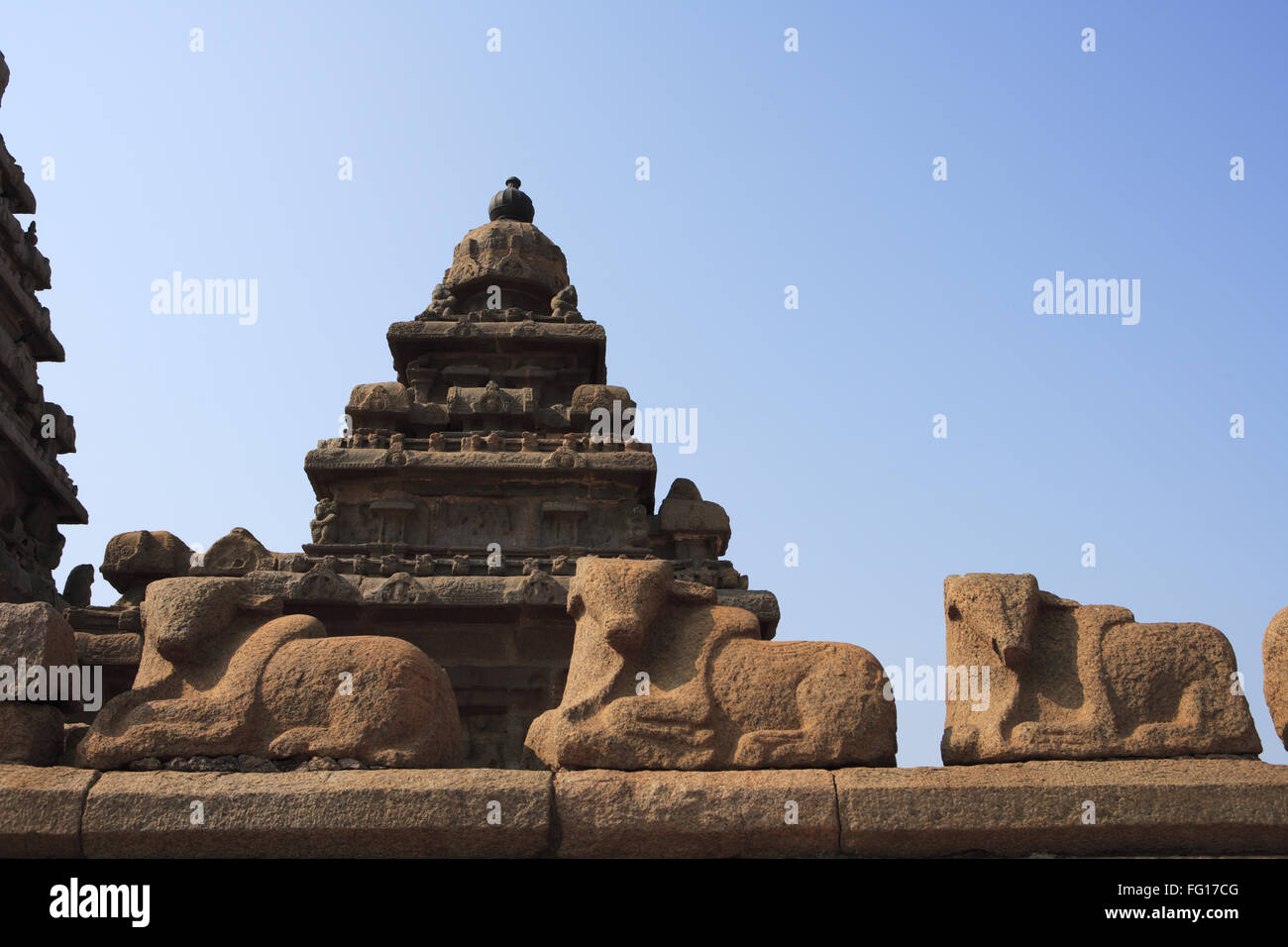 Nandi statues at Shore temple complex , Mahabalipuram, District ...