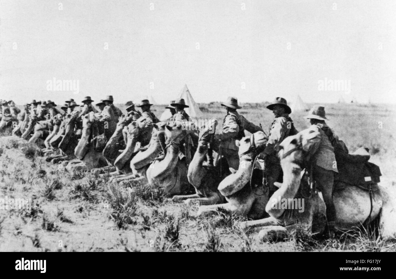 WORLD WAR I: CAMEL CORPS. /nAllied troops of the Imperial Camel Corps ...