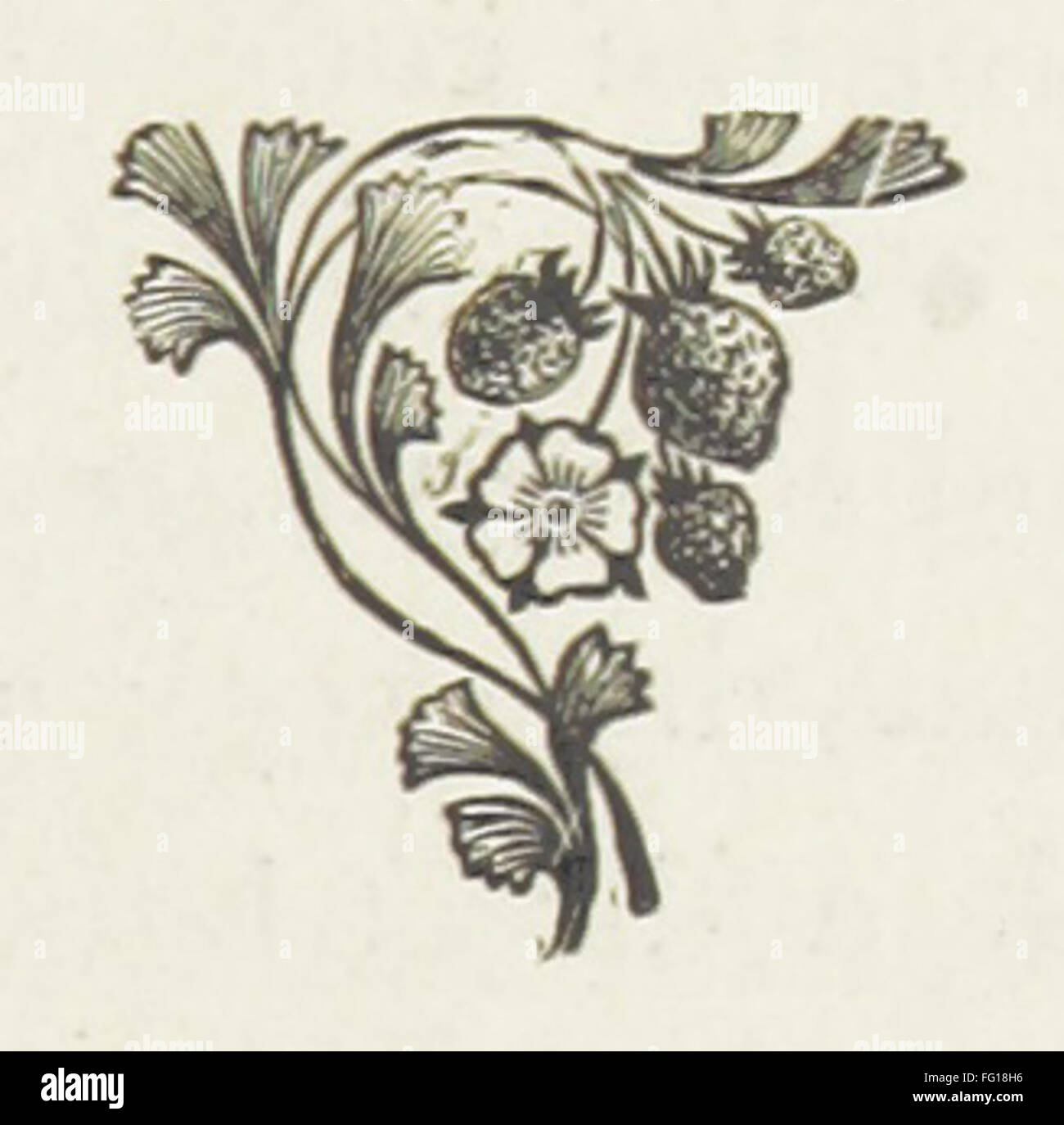 'An Interloper' is a novel exploring the themes of intrusion, identity ...