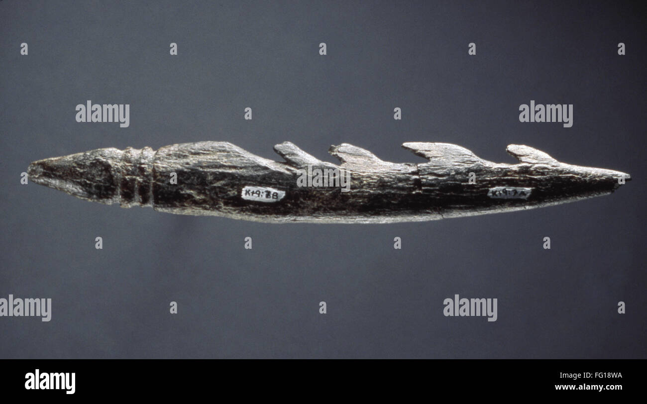 With bone hi-res stock photography and images - Alamy