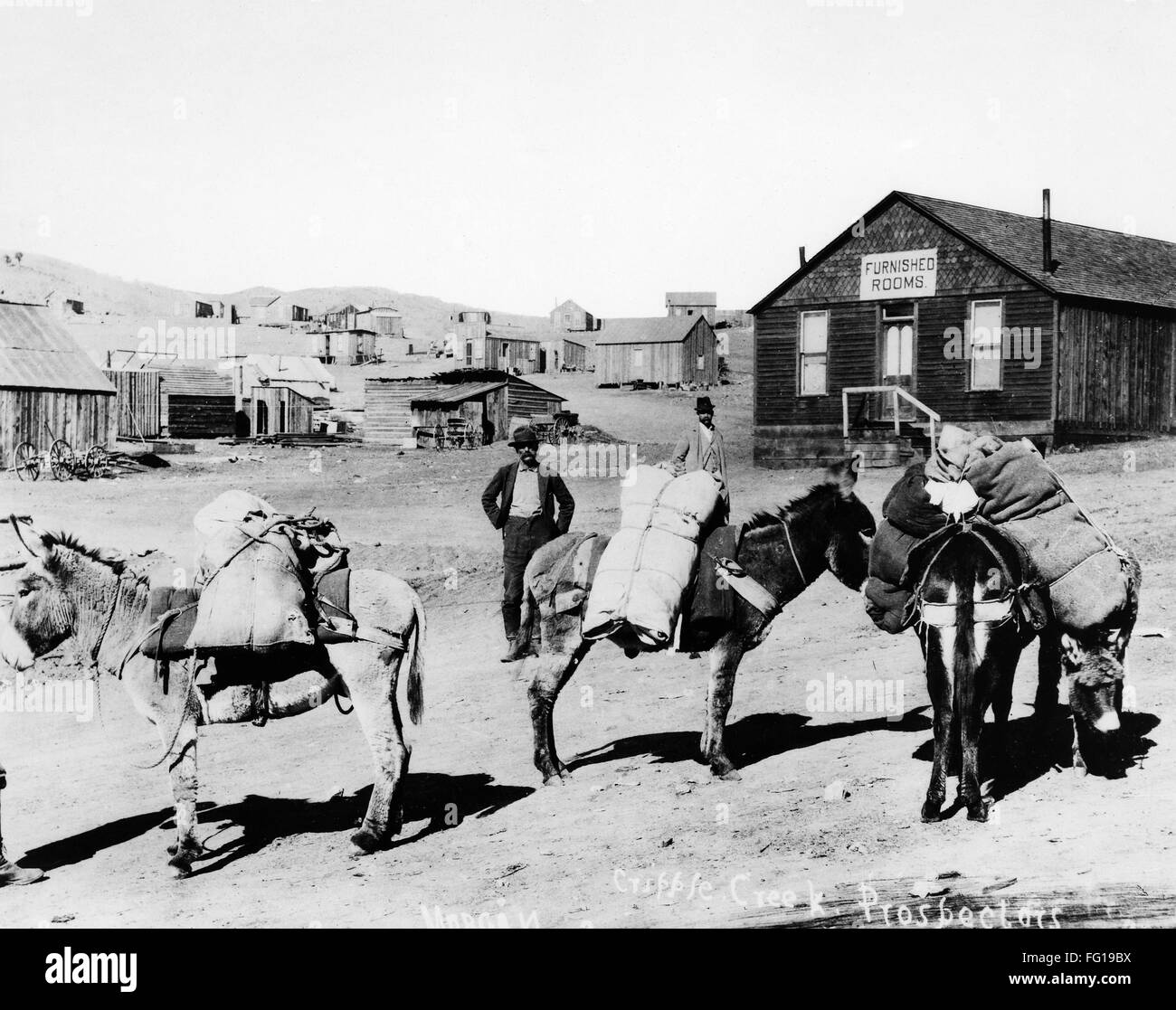 COLORADO: PROSPECTORS. /nProspectors and their donkeys in Cripple Creek ...
