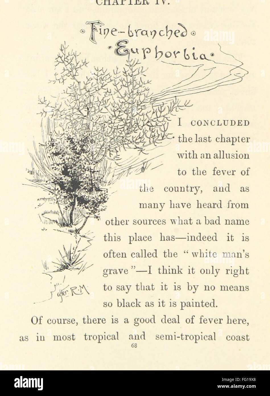 'Delagoa Bay; its natives and natural history' provides an in-depth ...