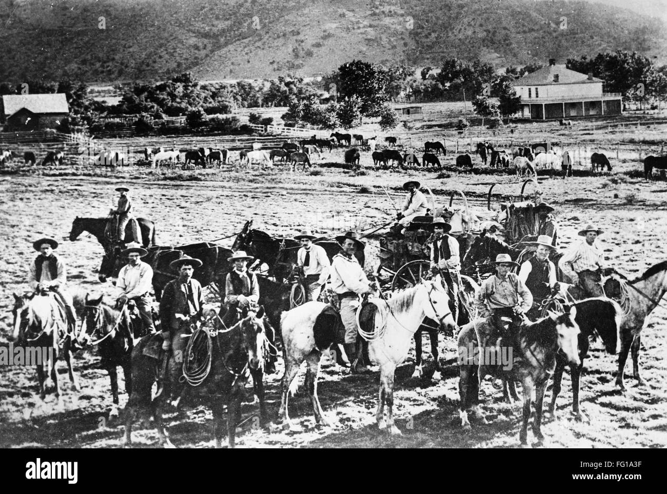 NEW MEXICO: CATTLE RANCH. /nCowboys on a ranch owned by the Prairie ...