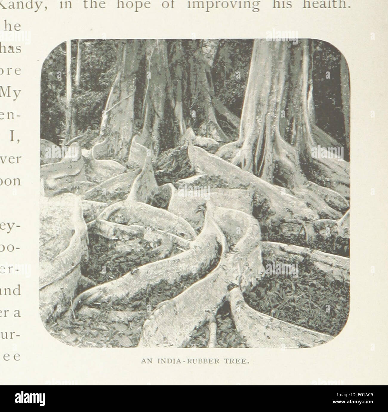 John L. Stoddard's Lectures is a series of illustrated lectures based ...