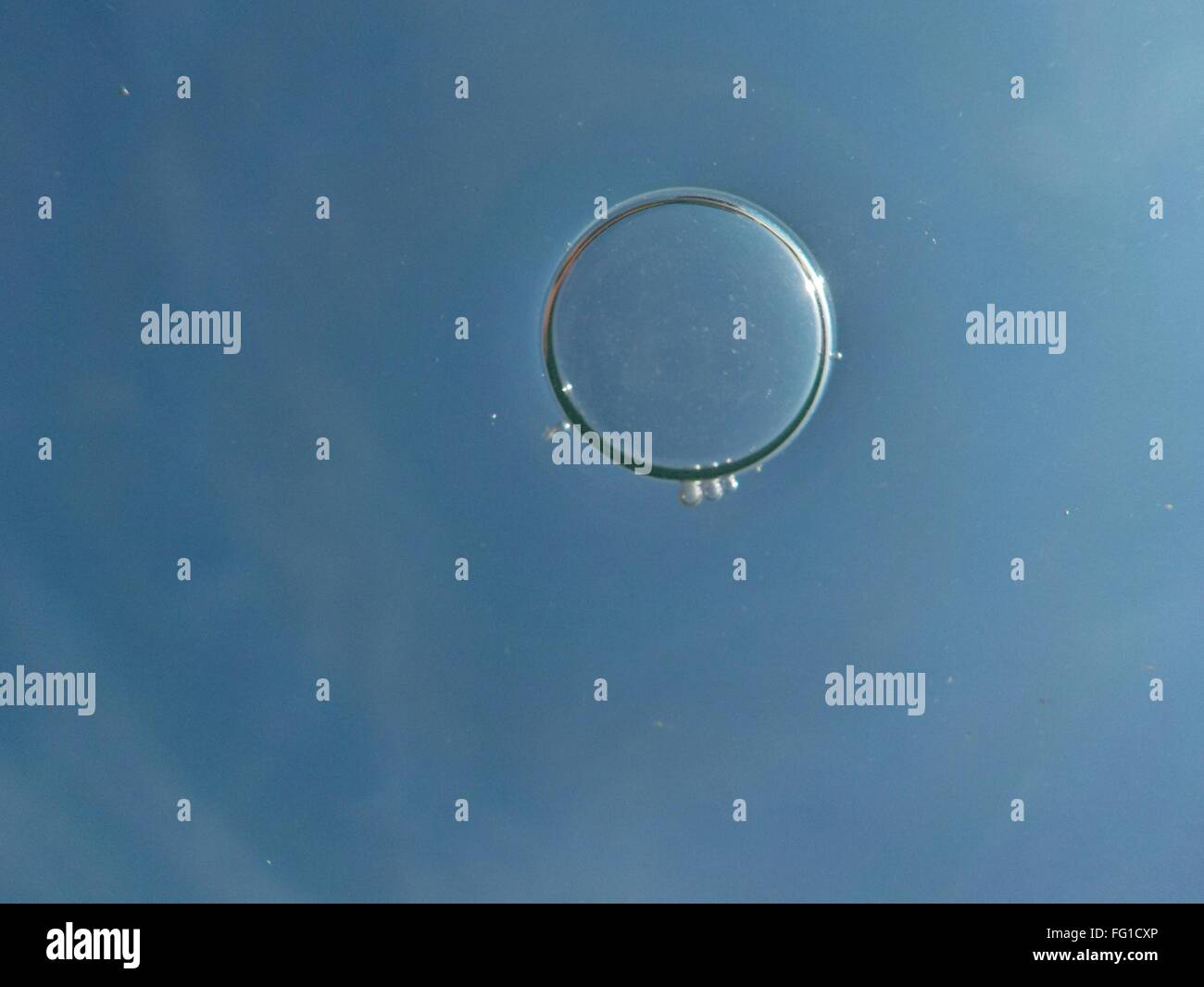 Floating underwater hi-res stock photography and images - Alamy