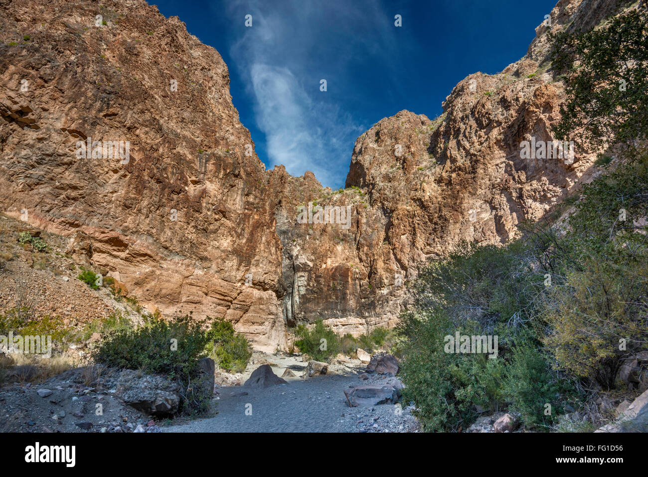 Burro hi-res stock photography and images - Alamy