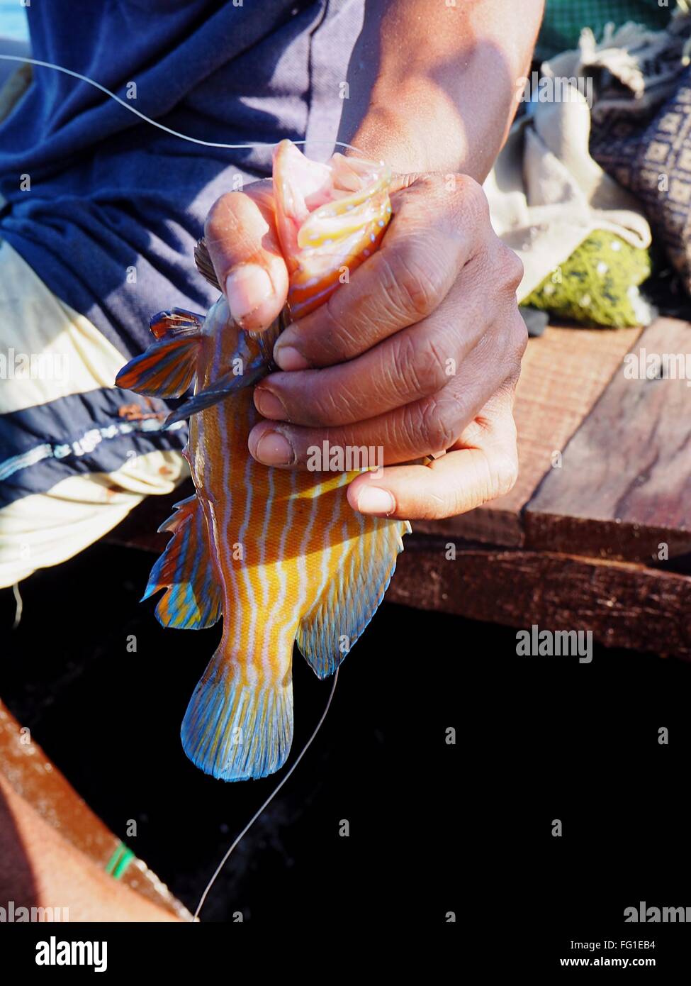 Fish hook finger hi-res stock photography and images - Alamy