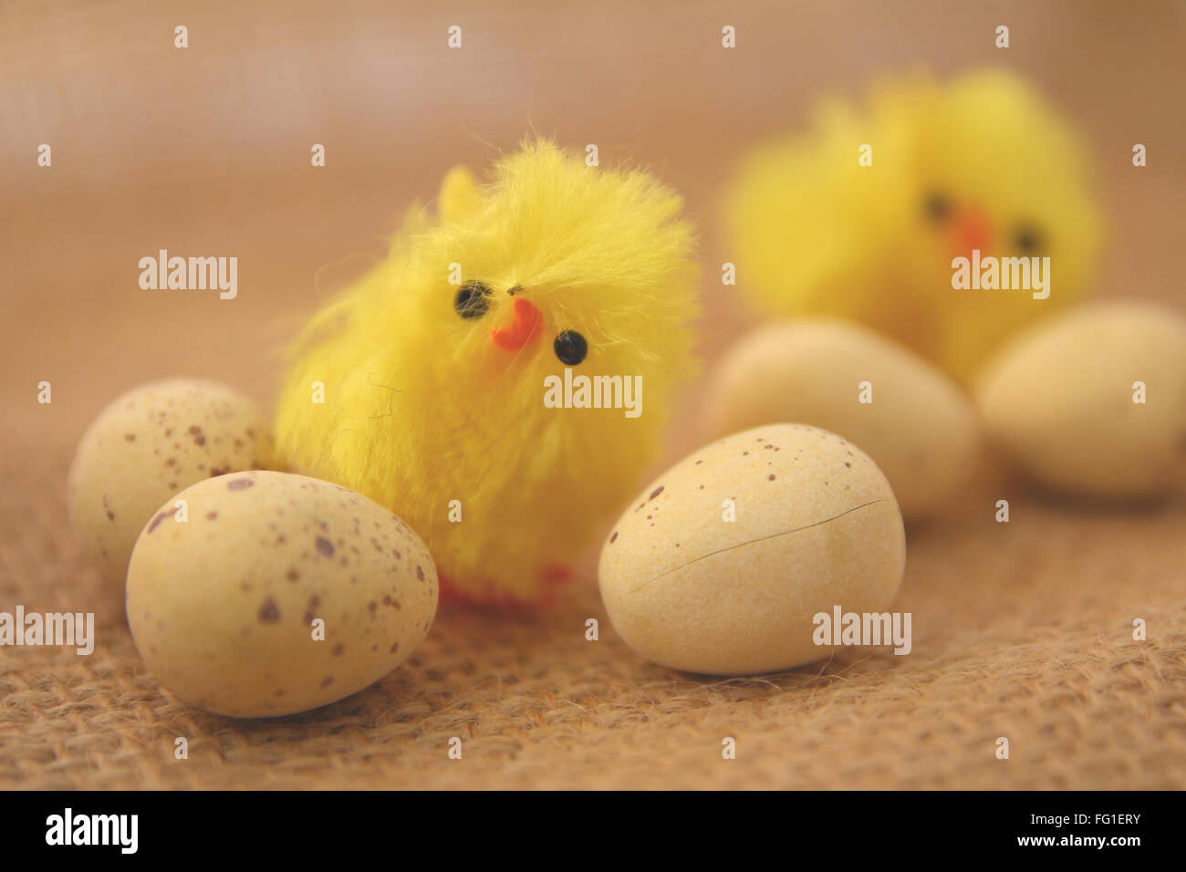 Chocolate chicks hi-res stock photography and images - Alamy