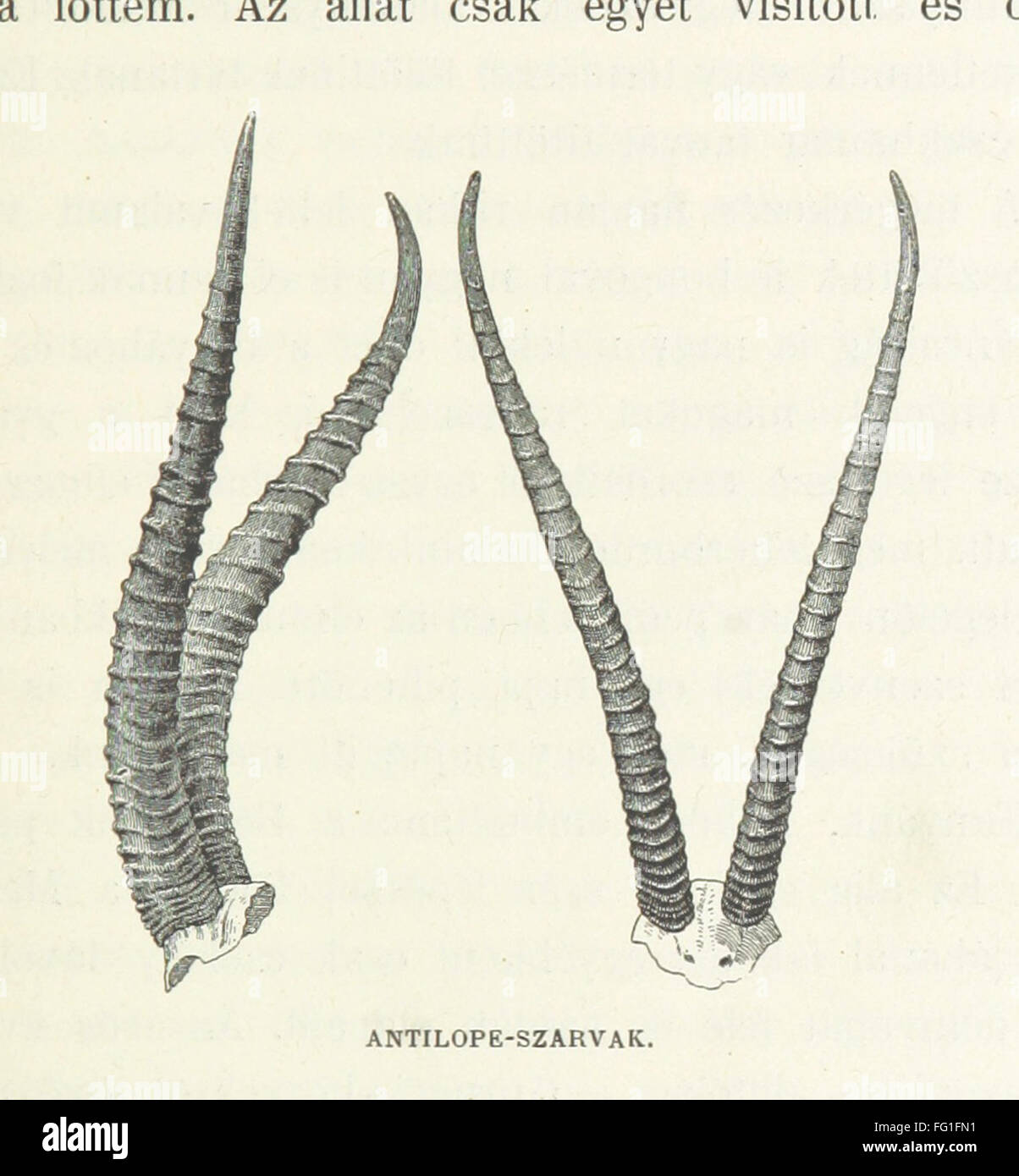 This book recounts the exploration journey of Samuel Teleki and his ...