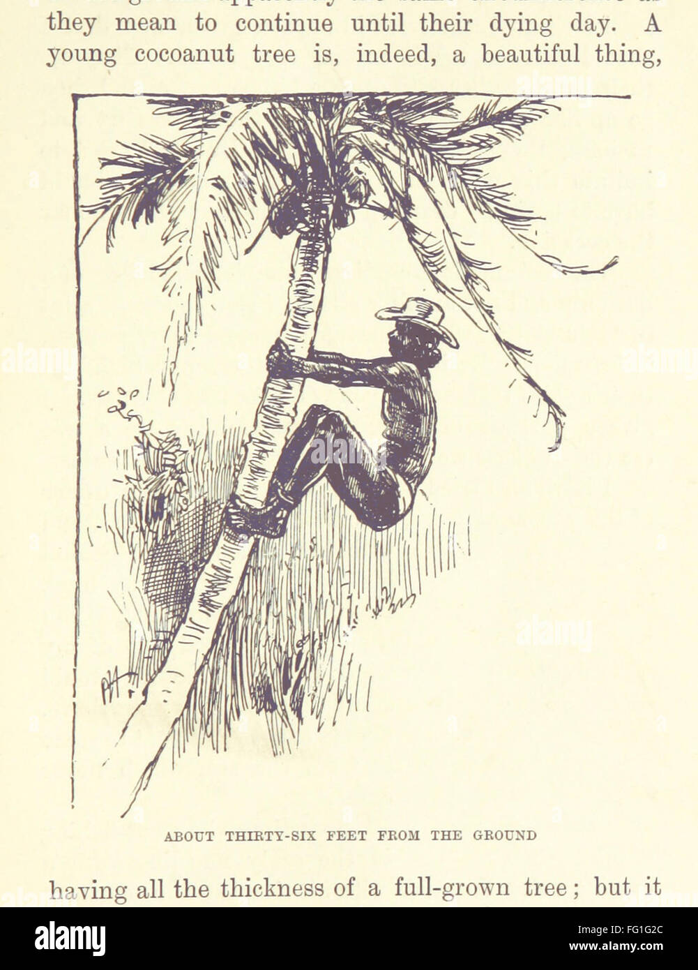 This vintage book explores the history, culture, and landscapes of ...