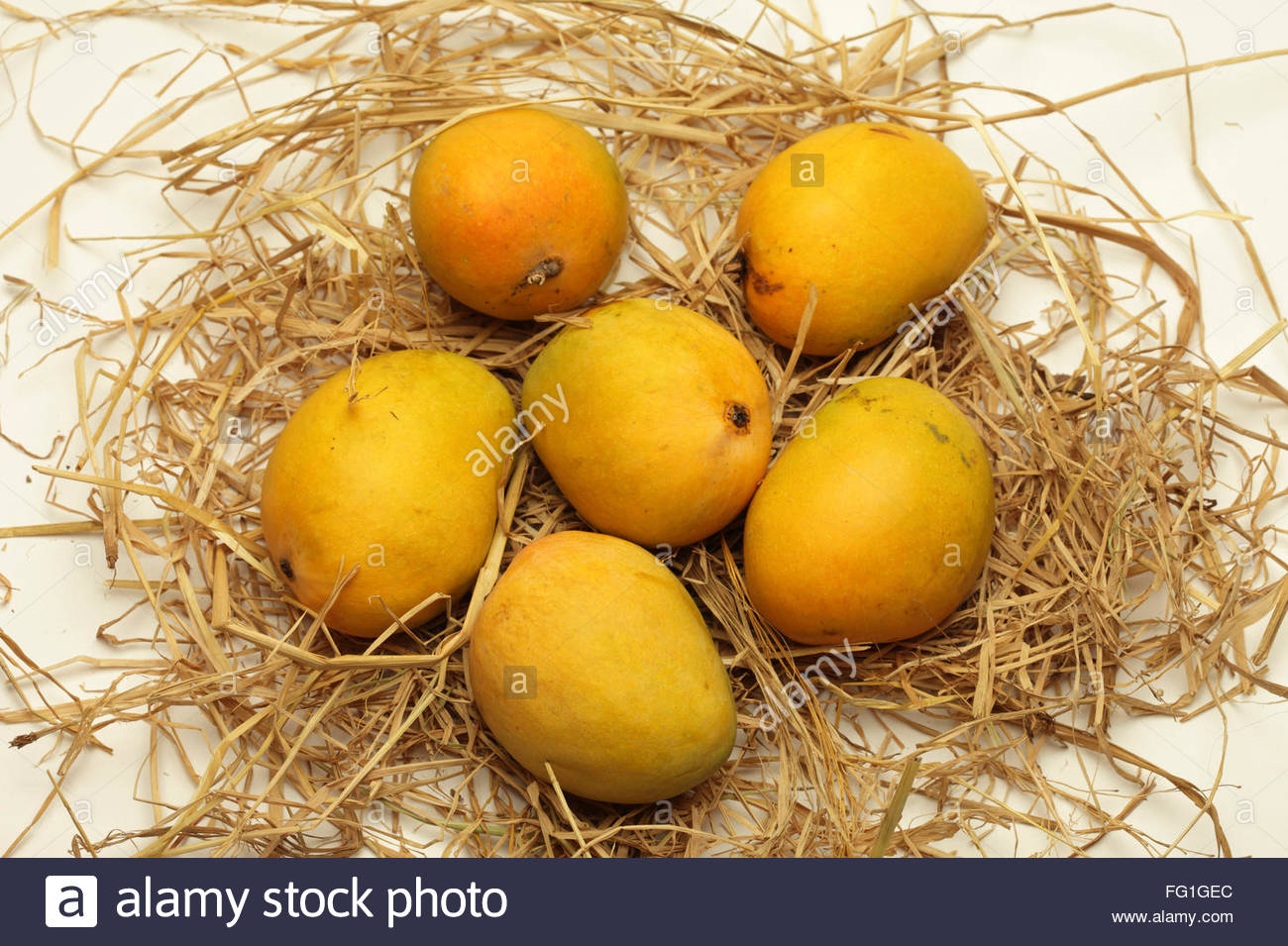 Alphonso Mango Stock Photos & Alphonso Mango Stock Images - Alamy