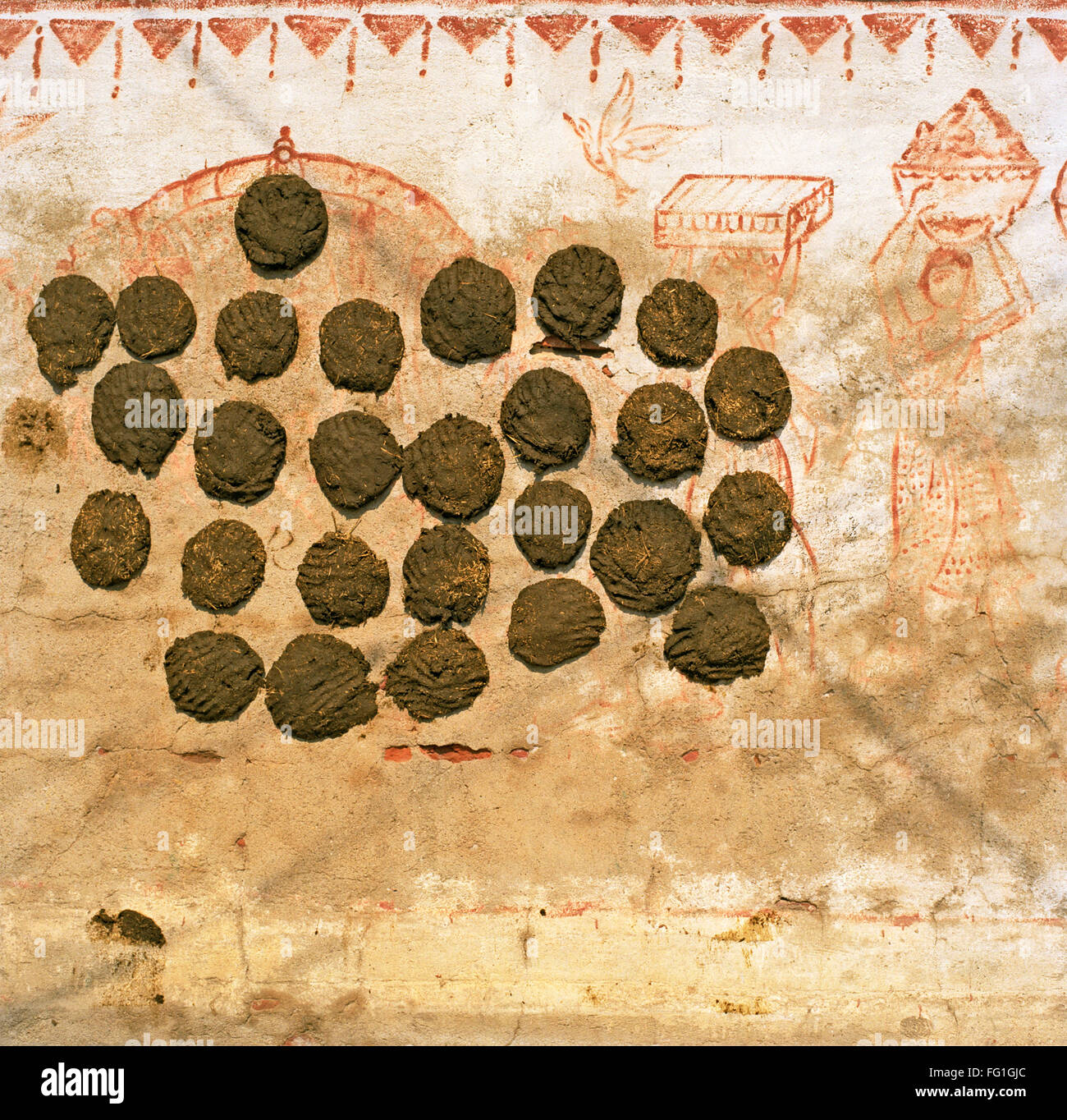 Drying cow dung in india hi-res stock photography and images - Alamy