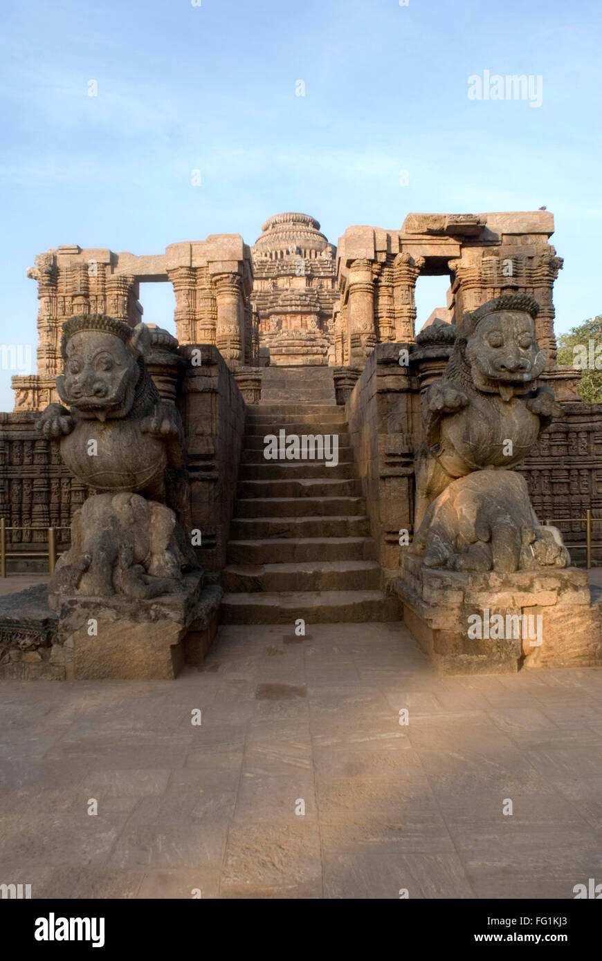 Lions flank hi-res stock photography and images - Alamy