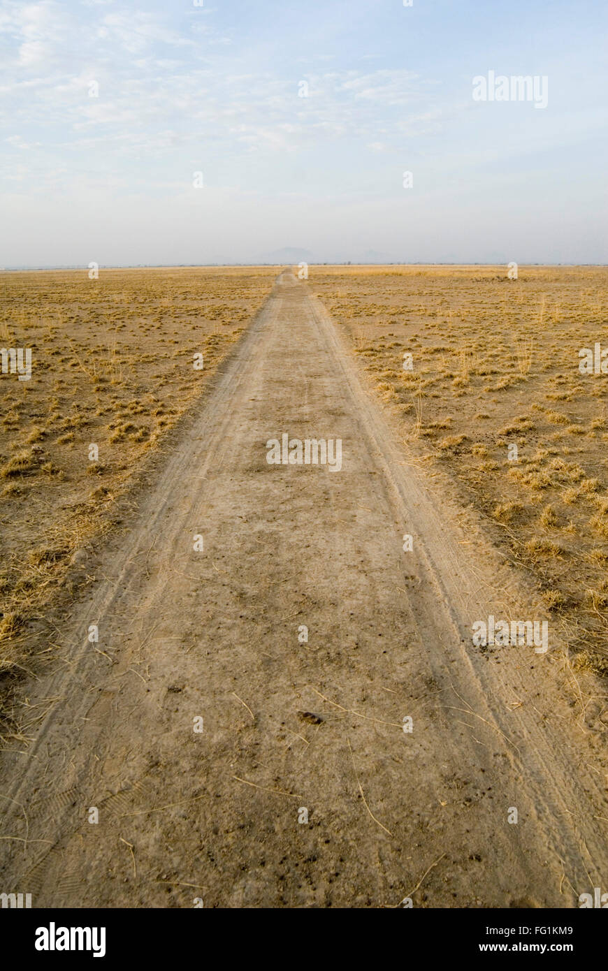 Way to Tal Chappar sanctuary , Tal Chhappar, Shekhawati Region ...