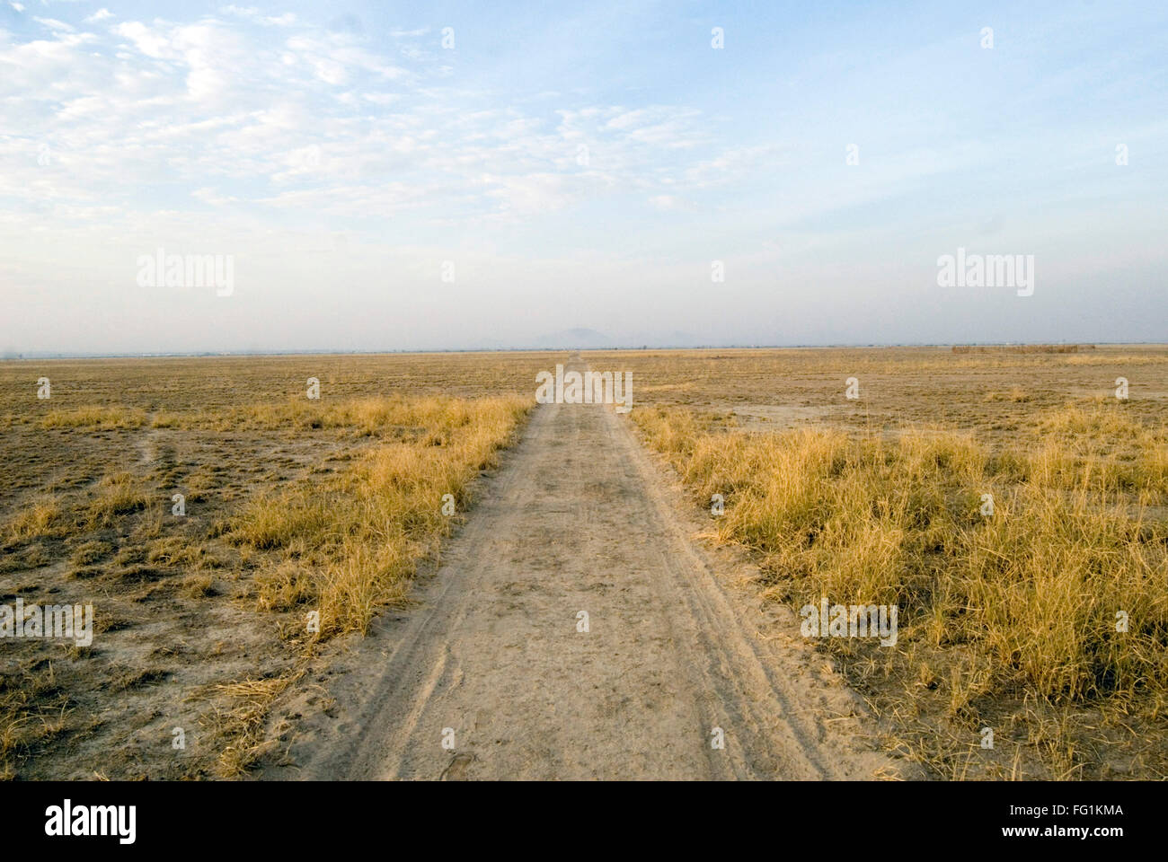 Way to Tal Chappar sanctuary , Tal Chhappar, Shekhawati Region ...