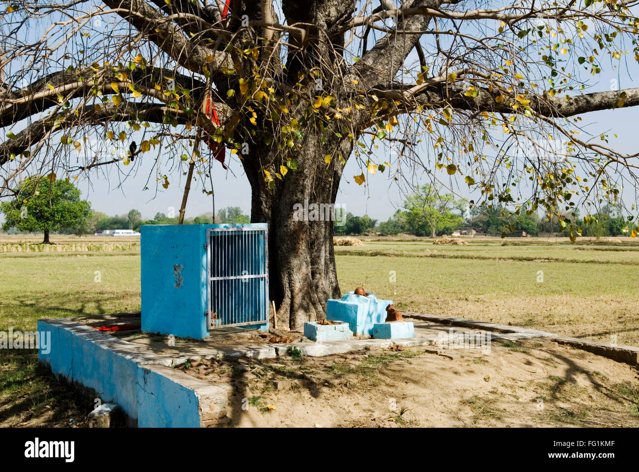Roadside temple in Uttar Pradesh , India Stock Photo - Alamy