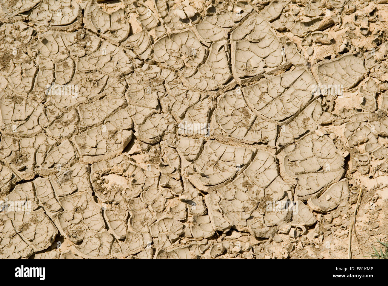 Drought , Dry land Stock Photo - Alamy
