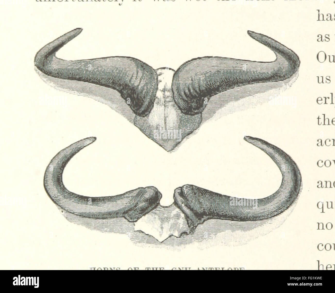 This book recounts Count S. Teleki’s expedition to discover Lakes ...