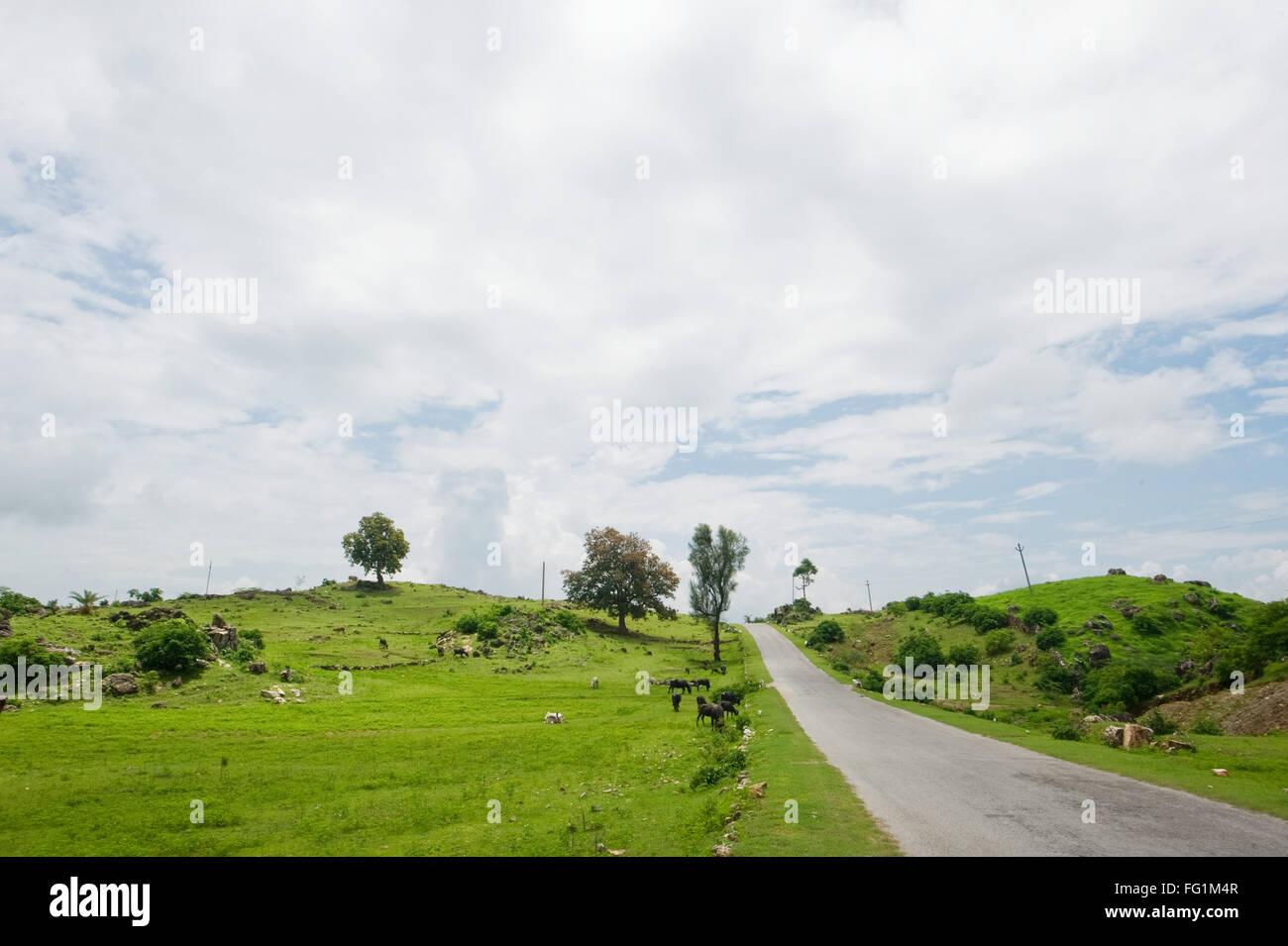 Long roads of india hi-res stock photography and images - Alamy
