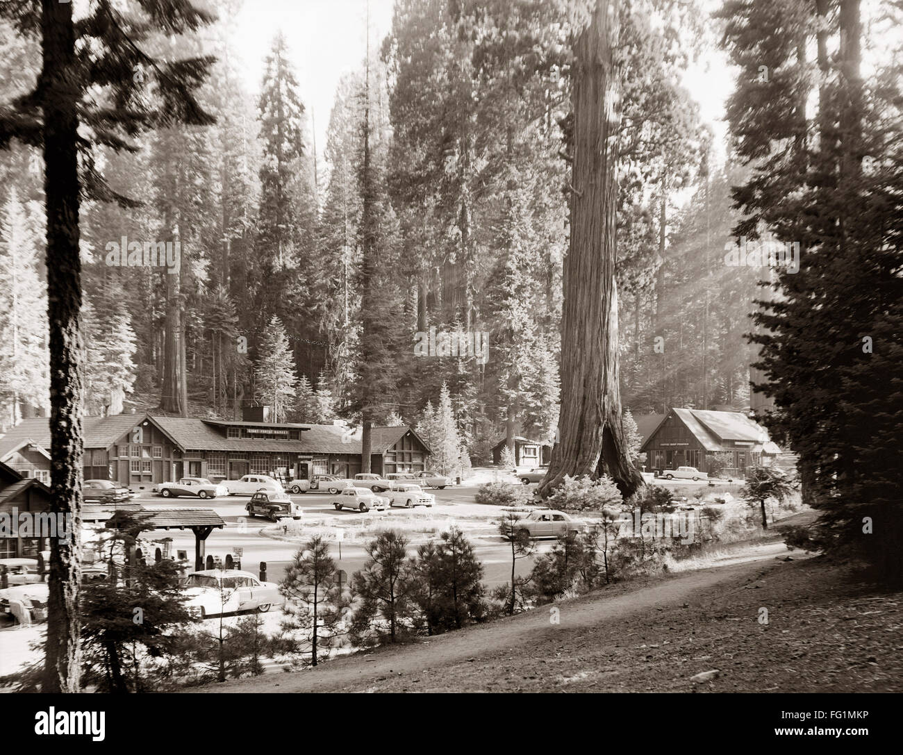 SEQUOIA NATIONAL PARK. /nView of the Giant Forest Village with the ...