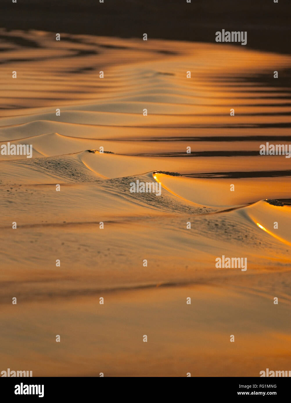 Chambal region hi-res stock photography and images - Alamy