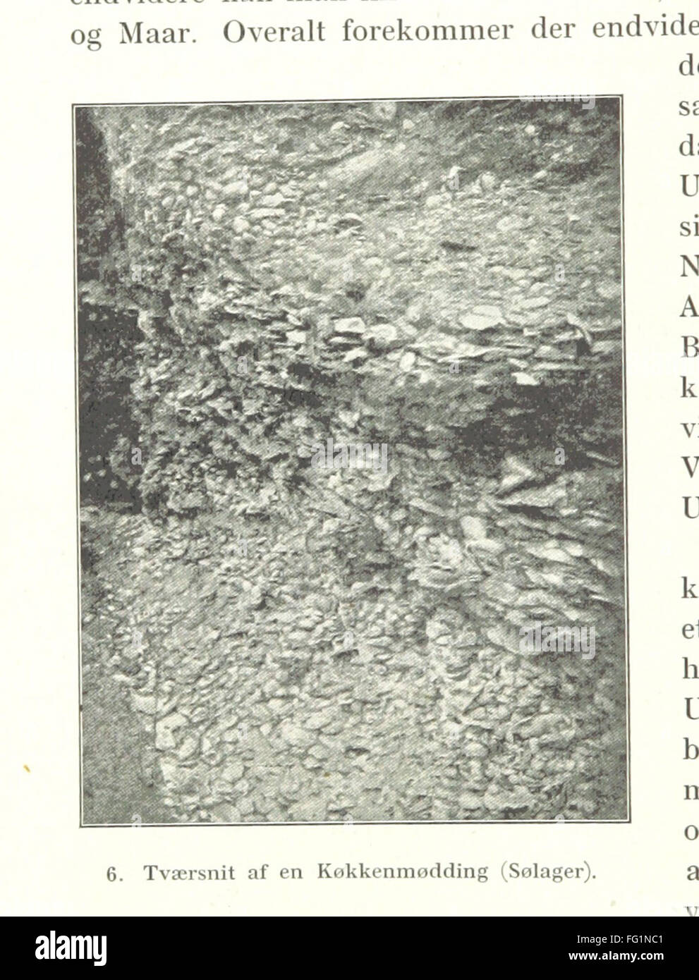 'Danmarks Riges Historie' is a Danish history book that details the history of Denmark from its ...