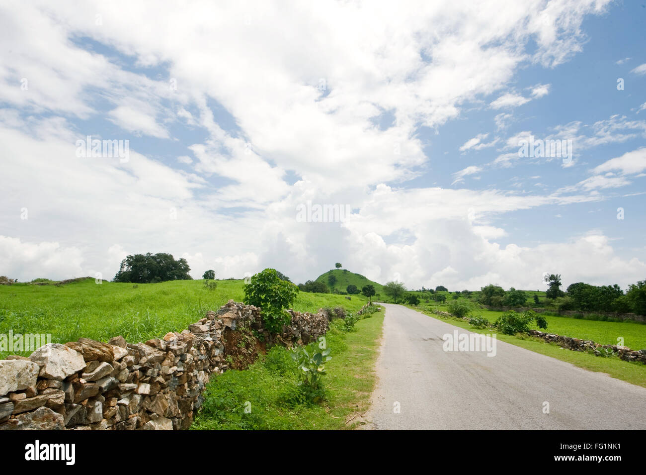 landscape green field india Stock Photo - Alamy