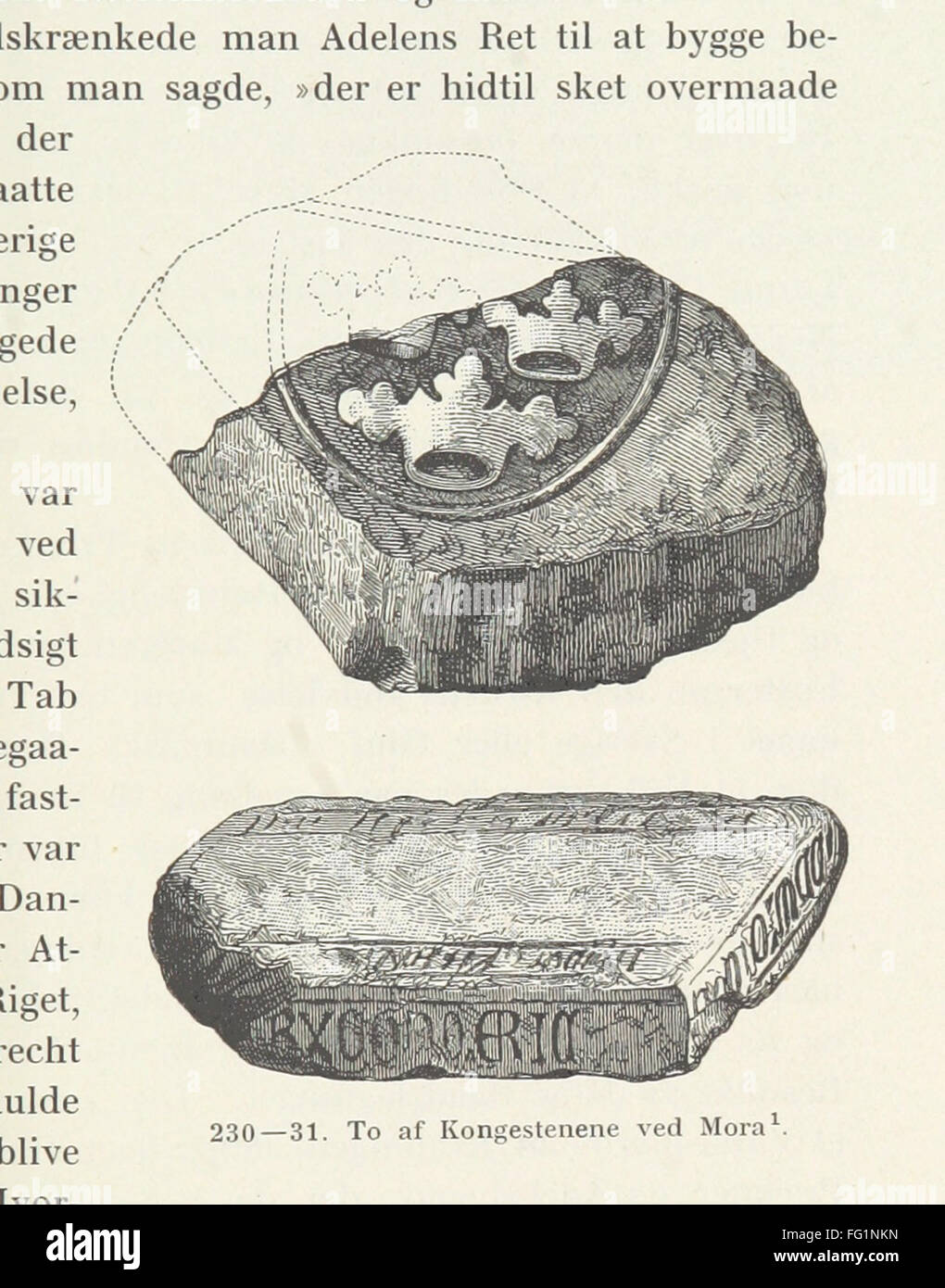 A Danish vintage book titled 'Danmarks Riges Historie,' written by ...
