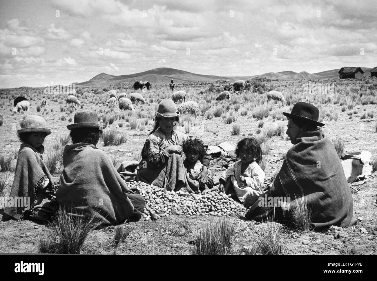 BOLIVIA, c1965. /nAn indigenous family with sheep in Bolivia ...