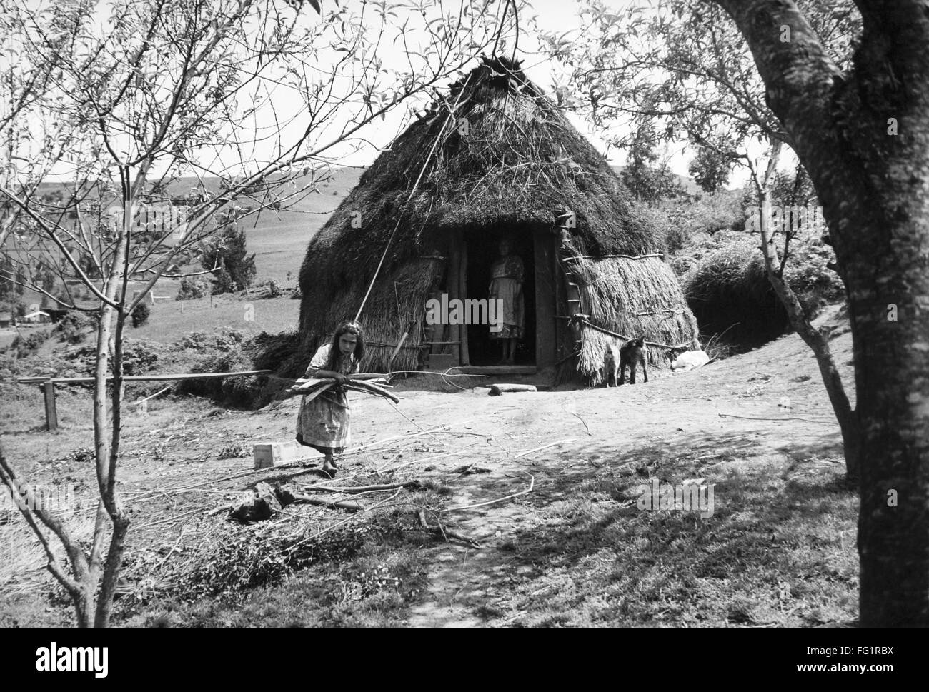 CHILE, c1965. /nA girl carrying wood in front of a grass hut in Chile ...