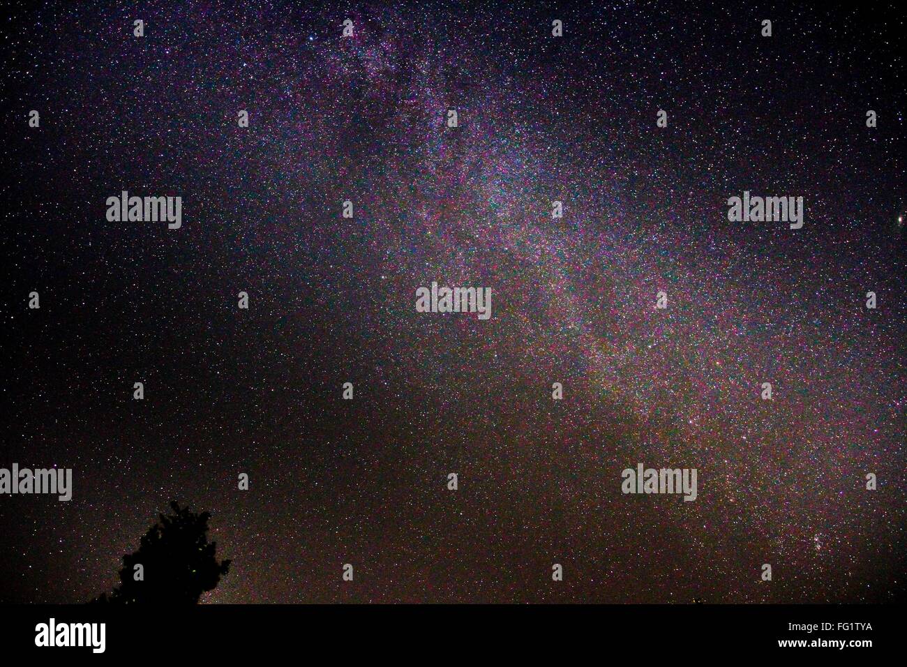 Low Angle View Of Star Field At Night Stock Photo - Alamy