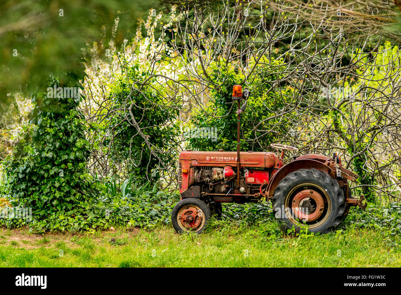 A red tractor sits in a small field with the green of Spring all around ...