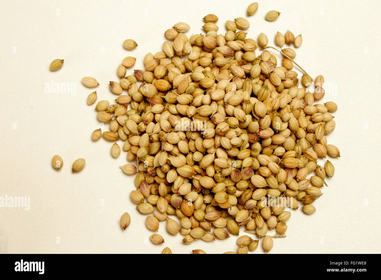 Indian condiments and spices , Coriander seeds on white background Stock Photo - Alamy