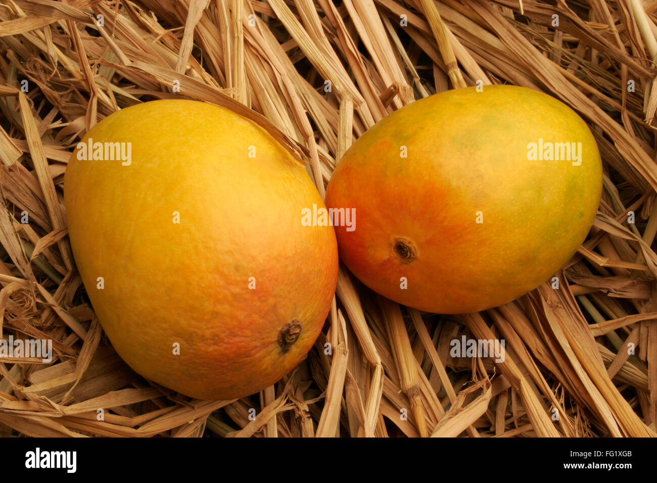 Alphonso Mango Wallpaper