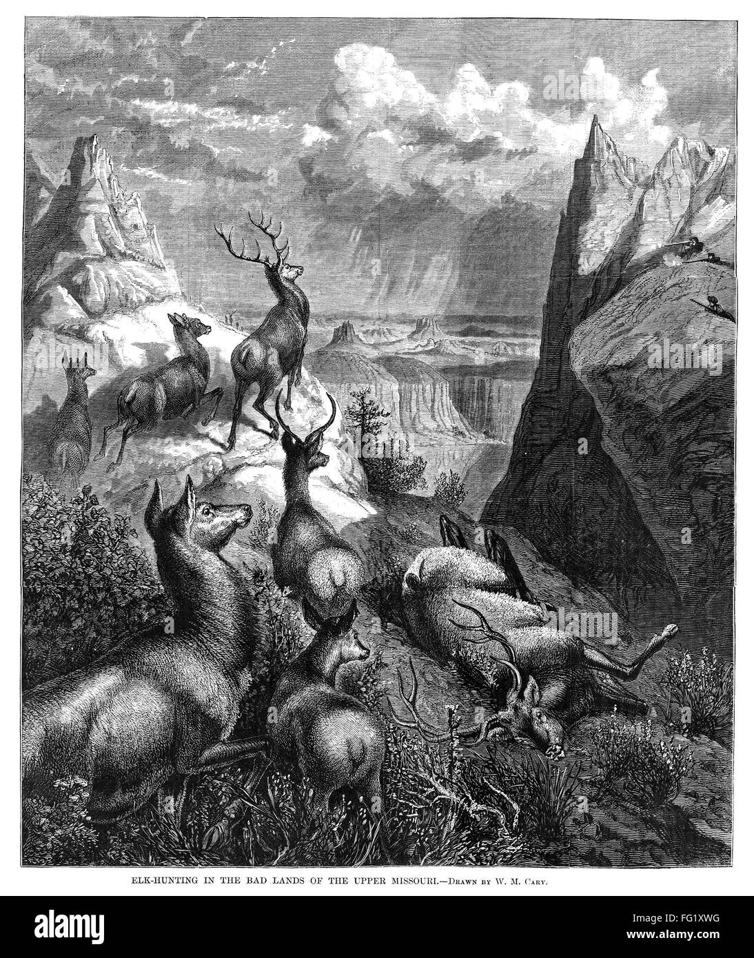 ELK HUNTING, 1875. /n'Elk-Hunting in the Bad Lands of the Upper ...