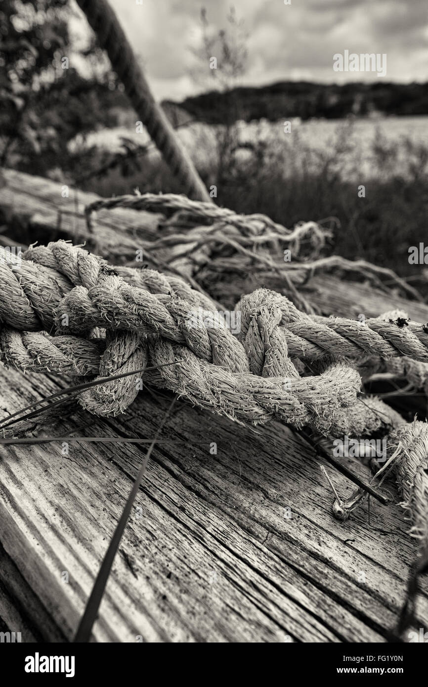 Wooden Plank Knot High Resolution Stock Photography and Images - Alamy