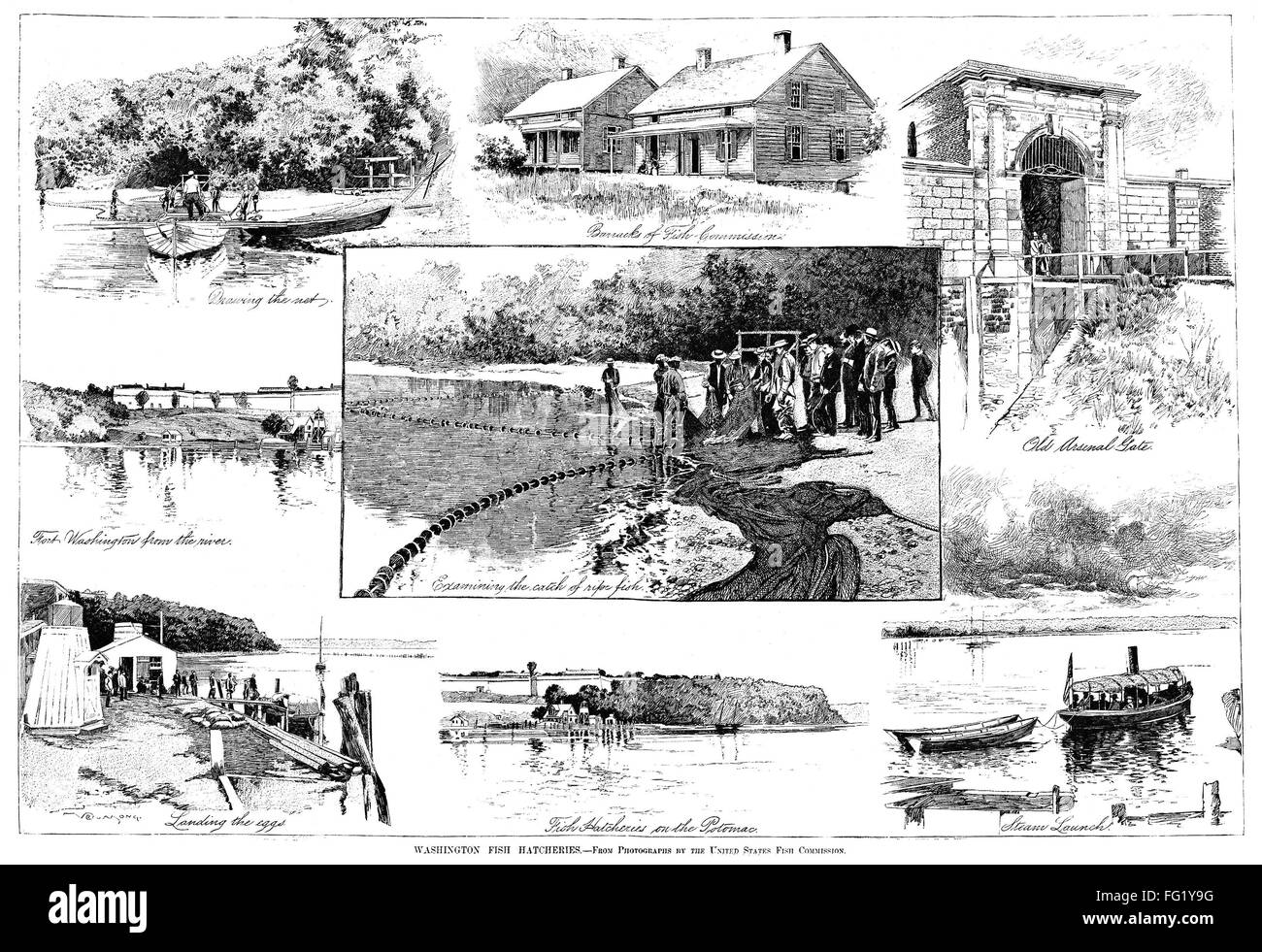 WASHINGTON: FISH HATCHERY. /nFish hatcheries near Washington, D.C ...